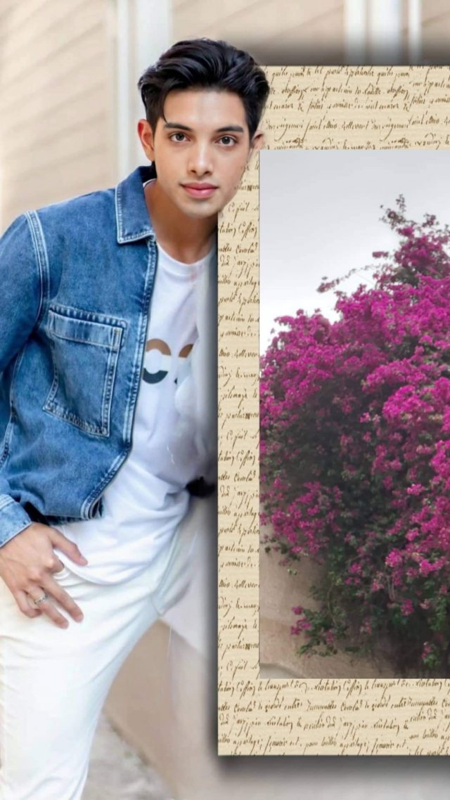 Murad, 29, Istanbul - "Ahlam"