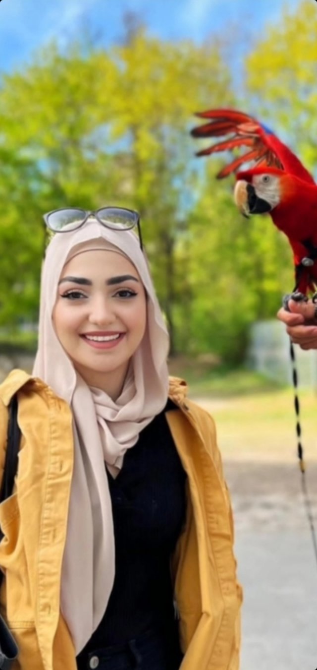 الملكة, 30, الخليل - "Ahlam"